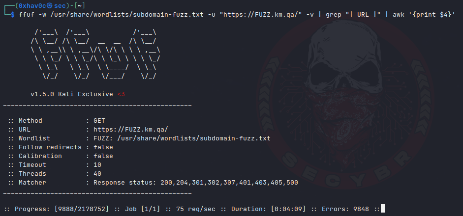 Subdomain Enumeration Methods Secybr Penetration Testing Red Teaming And Hack Tricks 